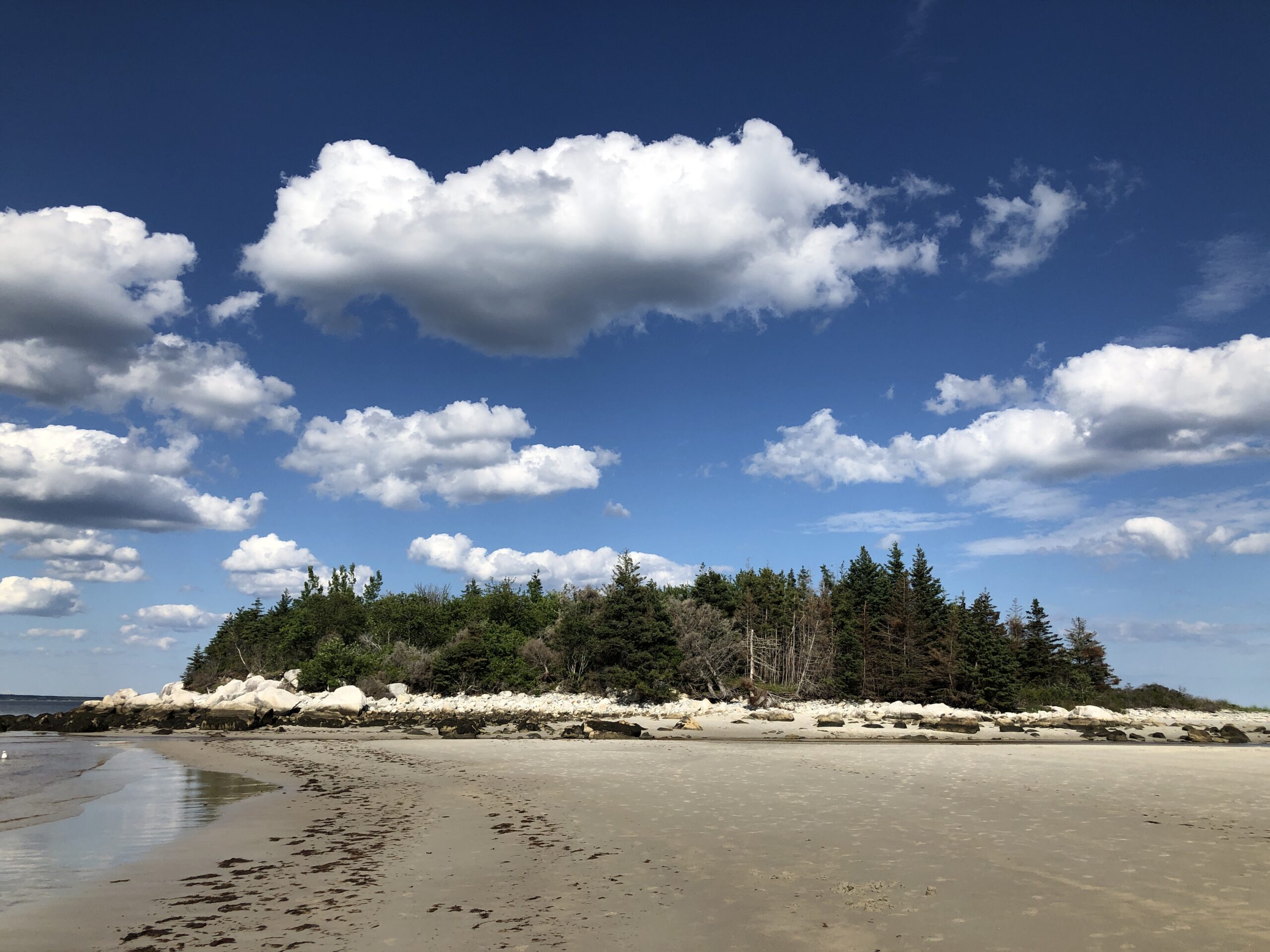 The Story Behind Carters Beach Provincial Park - Helen Earley